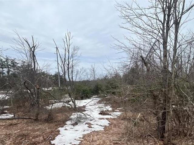 Altorf Strasse Lot 41, Livingston Township, MI 49735