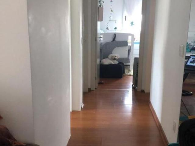 Aluga se apto 03 dormitorios 01 suite Vila Andrade 02 vagas cobertas Vila andrade Mais morumbi