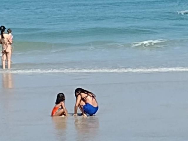 Alugo por temporada
