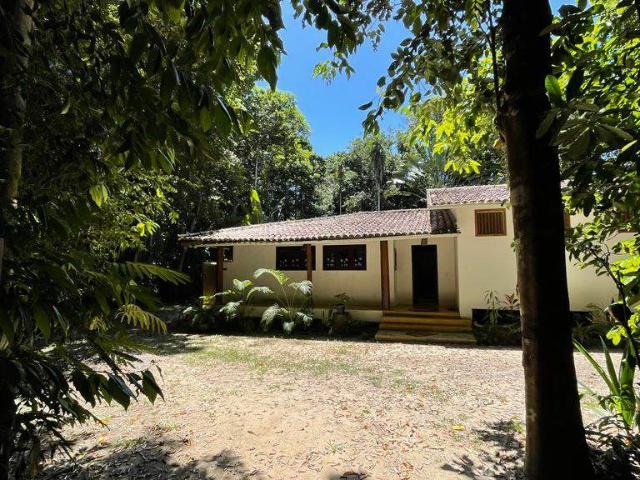 Alugue casa grande para Natal e Réveillon