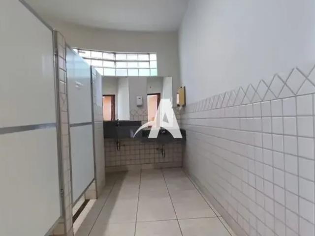 Aluguel casa santa mônica