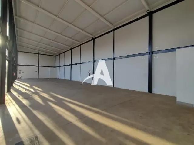 Aluguel loja tubalina