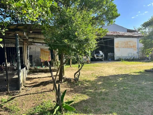 Aluguel, terreno, no bairro espirito santo, porto alegre