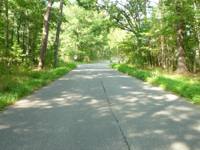 Alum Springs Rd