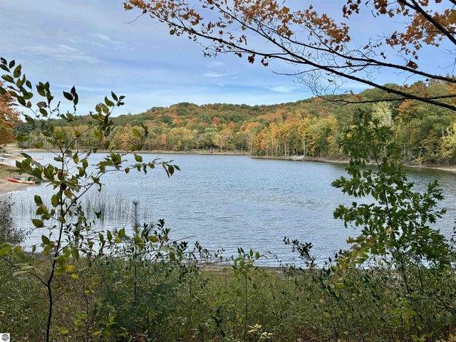 Alvinas Trl Lot A, Lake Ann, MI 49650