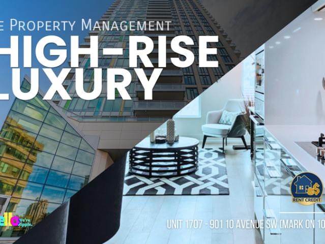 AMAZING FURNISHED 1 BED/ 1 BATH CONDO WITH STUNNING CITY VIEW