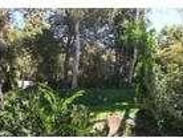Amazing 3 bedroom, 3 bath for rent. Washer/Dryer Hookups!