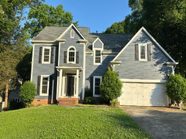 Amaranthus Ct