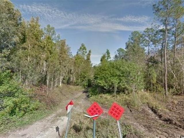 Amarillo St Lot 3010, Bonita Springs, FL 34135