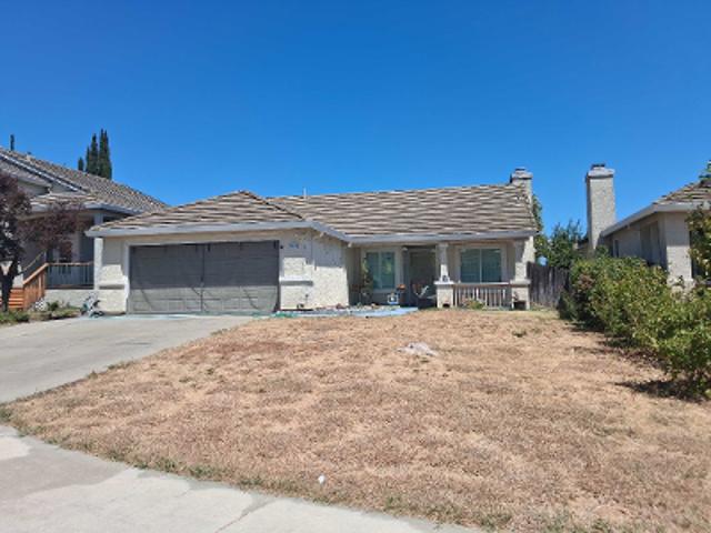 Amaryllis Ct