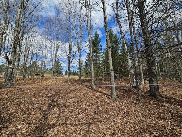 Amber Rd Lot,rangeley, Plot For Sale