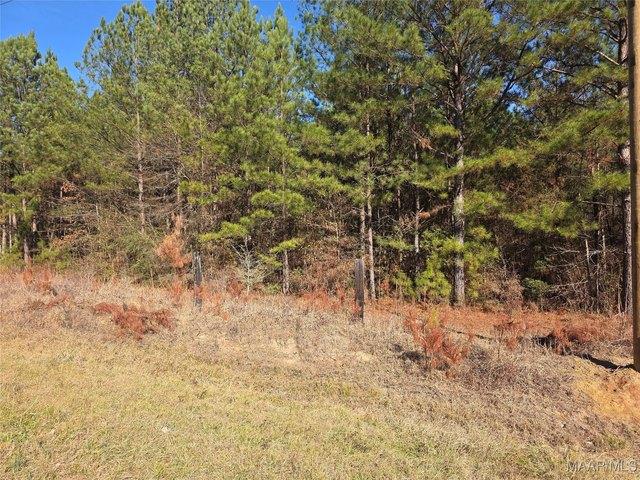 Amber Rd, Shorter, AL 36075