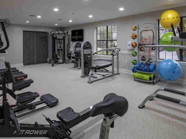 Amberlake Village 3 Bedroom Apartment for Rent at 2906 Old Norcross Rd, Duluth, GA 30096