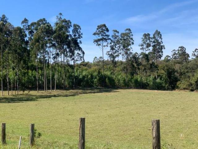 Ambiente tranquilo, rodeado por natureza