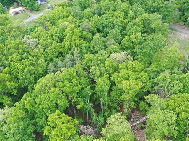 Amelia 28 Ln Lot 17 22, Hillsville, VA 24343