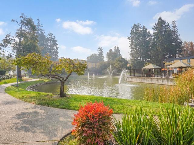 Americana Apartments 1 Bedroom Apartment for Rent at 707 Continental Cir, Mountain View, CA 94040 Cuernavaca