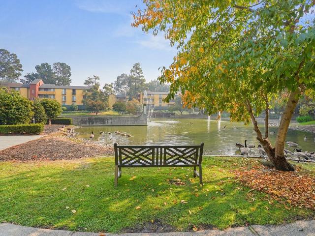 Americana Apartments 1 Bedroom Apartment for Rent at 707 Continental Cir, Mountain View, CA 94040 Cuernavaca