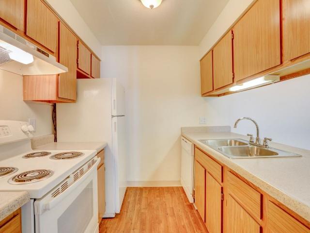 Americana Lakewood Apartments 1 Bedroom Apartment for Rent at 12598 W Dakota Ave, Lakewood, CO 80228 Foothills