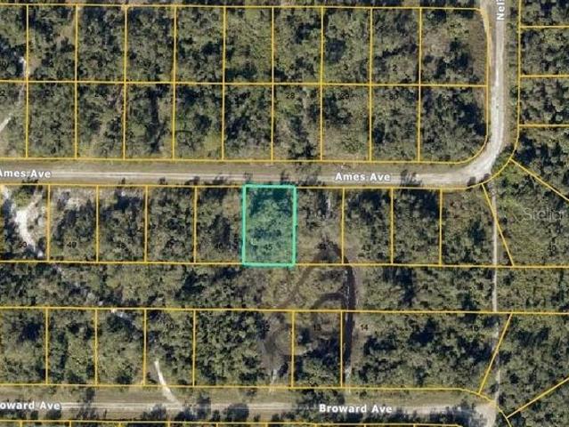 Ames Ave Lot 45, North Port, FL 34291