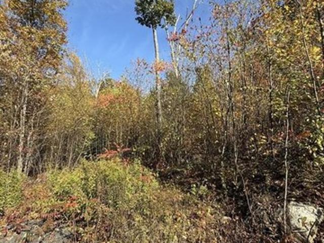 Amherst Rd Lot 1, Belchertown, MA 01007