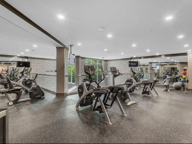AMLI North Point 1 Bedroom Apartment for Rent at 9000 Beaver Creek Rd, Alpharetta, GA 30022