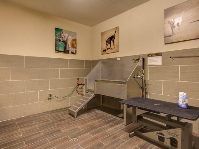 AMLI Riverfront Park 1 Bedroom Apartment for Rent at 1900 Little Raven St, Denver, CO 80202 LoDo
