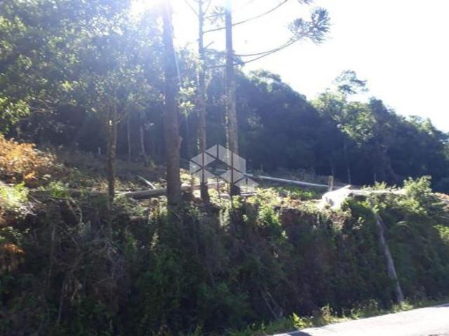 Amplo terreno na rua Alencar Arararipe