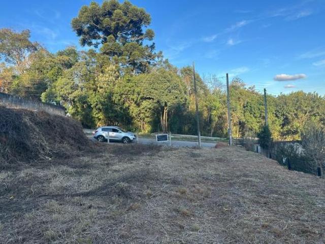 AMPLO TERRENO NO CENTRO DE ARAUCÁRIA 746m2