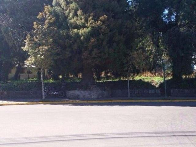 AMPLO TERRENO NO CENTRO DE CANELA!