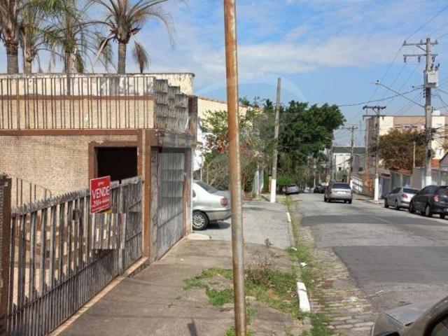 Amplo Terreno com 400m2 na Vila Guilherme