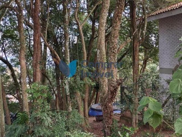 Amplo terreno com vista para o Guaíba Vila Conceição