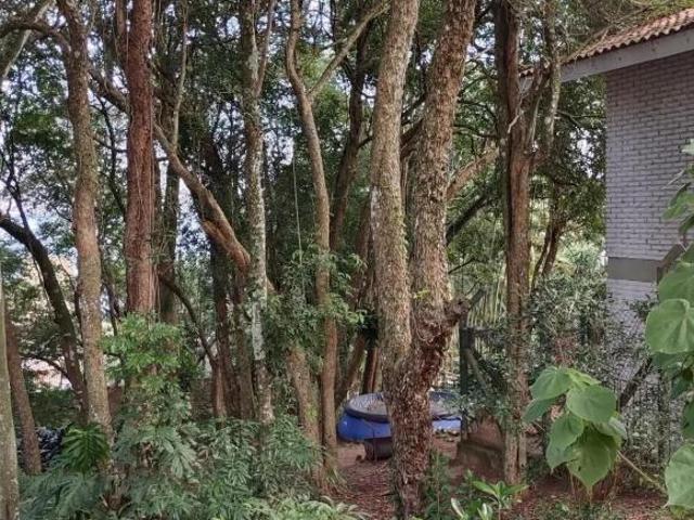 Amplo terreno com vista para o Guaíba Vila Conceição