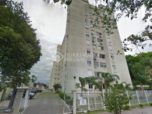 Amplo apartamento de 3 dormitórios,1 suíte