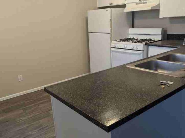 An affordable neighorhood near some of Tucson's best greeen spaces 1 Bedroom Apartment for Rent at 610 E Mohave Rd, Tucson, AZ 85705 Amphi