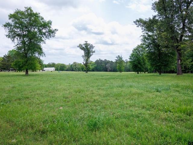 An County Road 336, Palestine, TX 75803