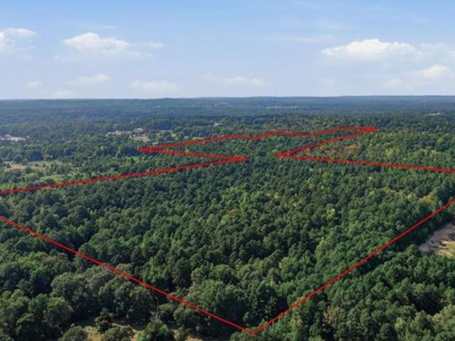 An County Road 359, Palestine, TX 75801