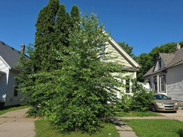 Ann St
