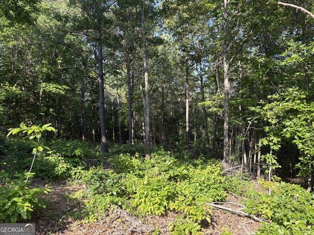 Anna Claire Ct Lot 11, Monticello, GA 31064