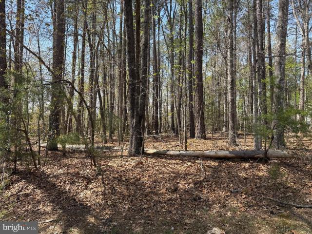 Anna Coves Blvd, Mineral, VA 23117 | MLS #VALA2009 | Compass