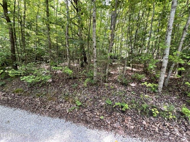 Anna Laura Ln, Rockwood, TN 37854