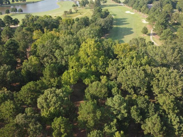Annandale Drive, Madison, MS 39110