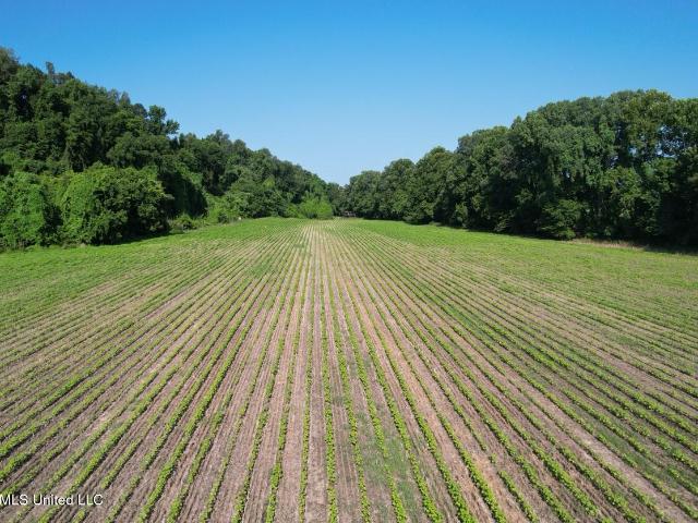 Annas Bottom Road, Natchez, MS 39120