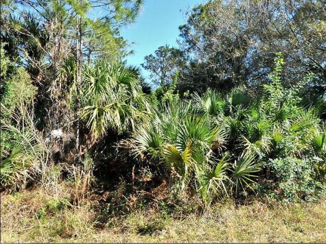 Annatto St Port, North Port, FL 34288 | MLS #O6188