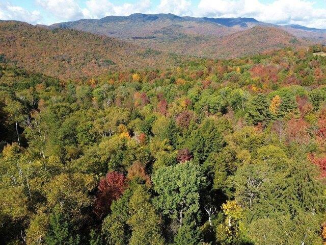 Anne Burns Rd Lots And,warren, Plot For Sale
