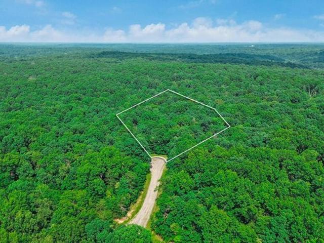 Anne Pl, Monterey, TN 38574