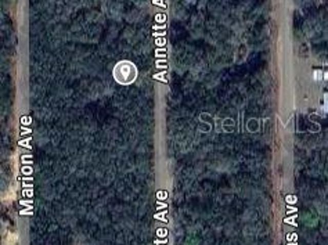 Annette Ave, Interlachen, FL 32148 | MLS #OM696784