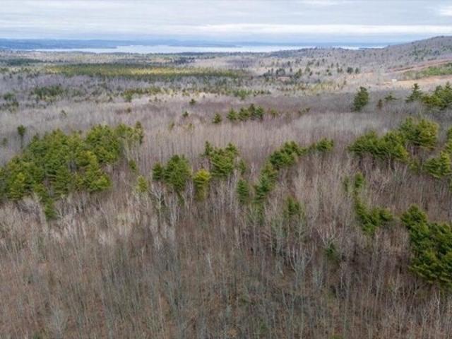 And Beech Hill Rd, Northport, Plot For Sale