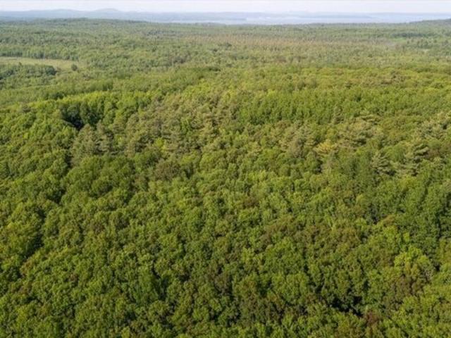 And Beech Hill Rd, Northport, Plot For Sale
