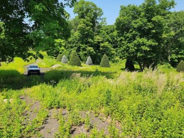 And Goodsell Hill Rd, Redding, Plot For Sale