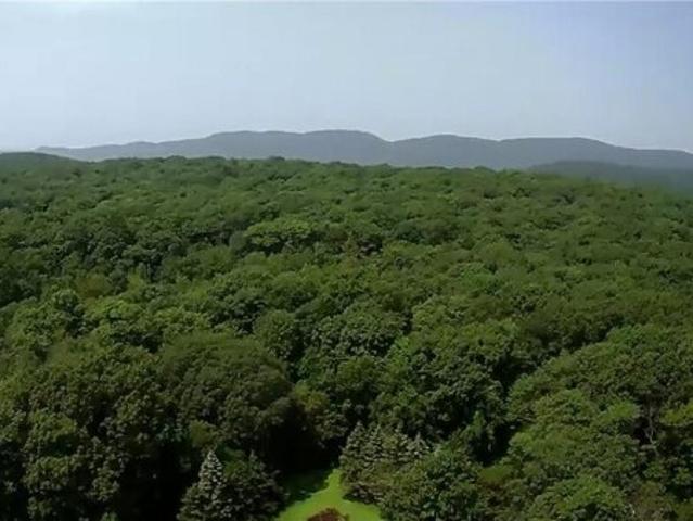 And E Mountain Rd N, Cold Spring, Plot For Sale